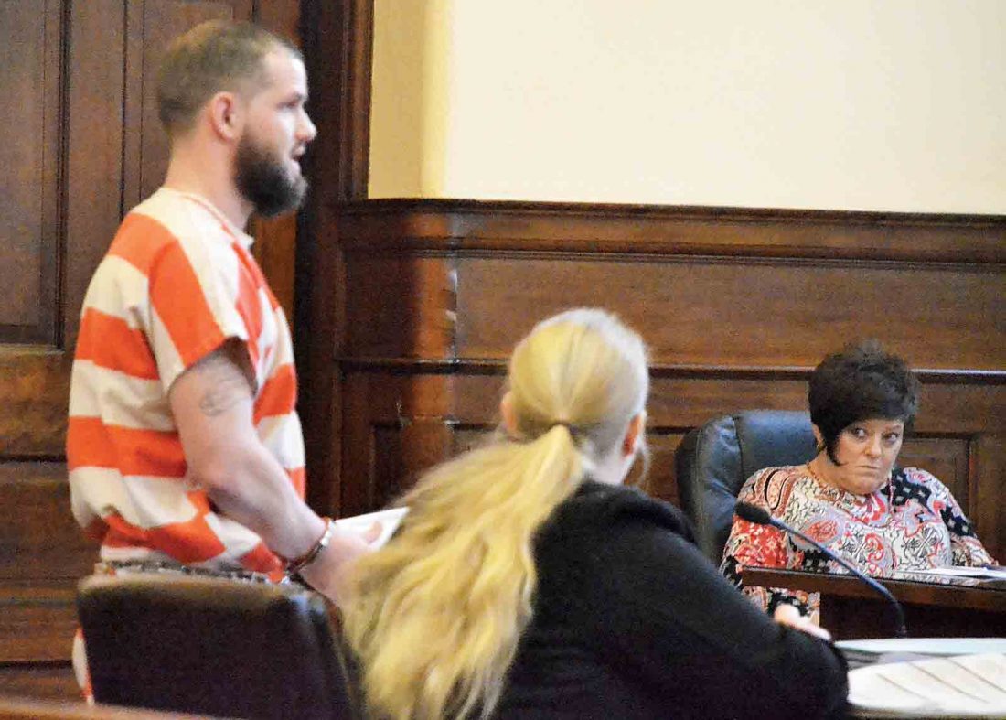 Parkersburg man receives prison sentence for felonious assault | News ...